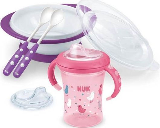 Εκπαιδευτικό Σετ Φαγητού Nuk Για Κορίτσια Ροζ | SHOPFLIX.gr