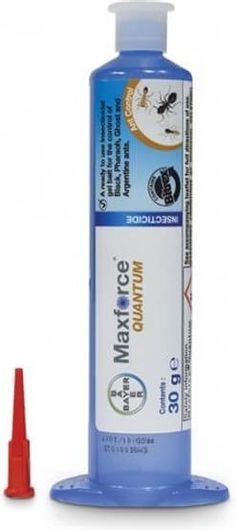 Bayer Maxforce Quantum Gel για Μυρμήγκια 30gr | SHOPFLIX.gr