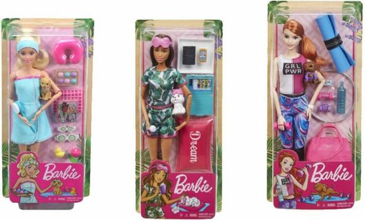 Mattel Barbie Wellness για 3+ Ετών Διάφορα Σχέδια 1τμχ | SHOPFLIX.gr