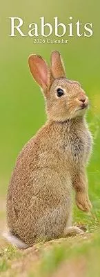 Rabbits Slim Calendar 2026 Cute Slimline Calendar - 12 Month Avonside ...